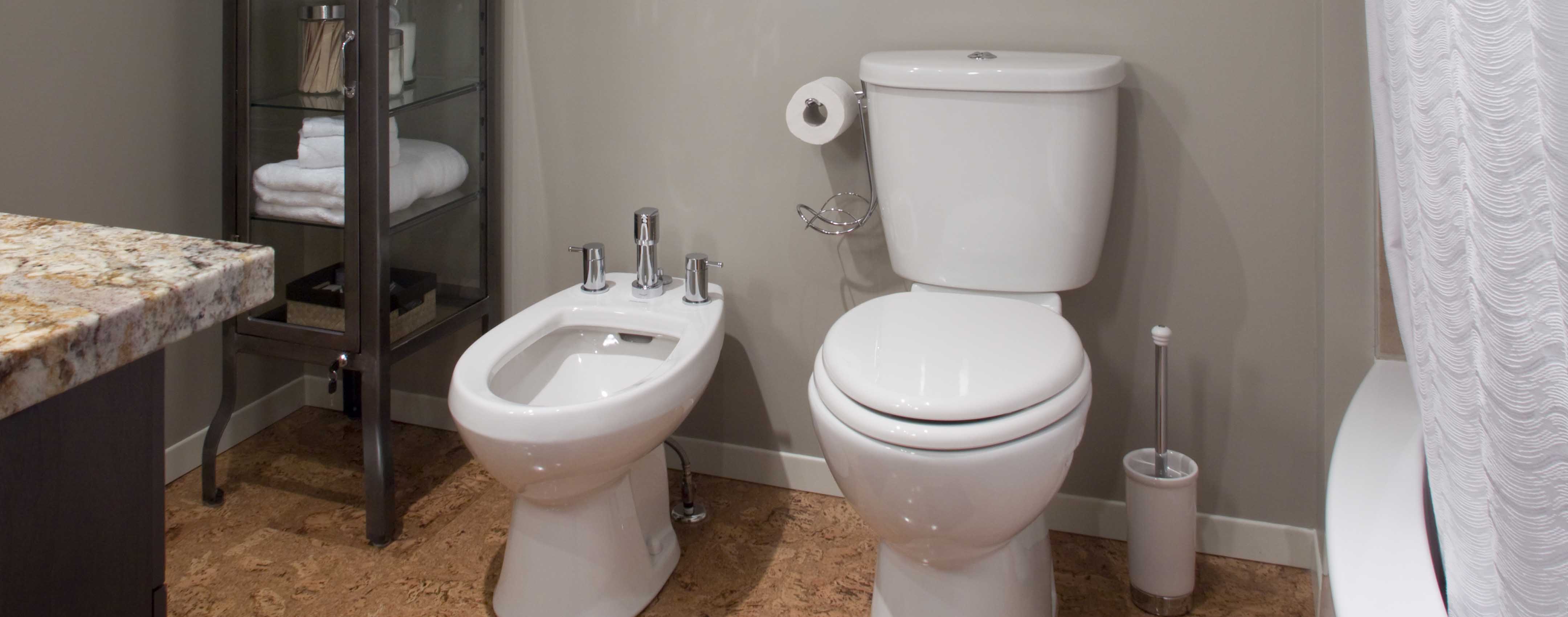 How to Choose a New Toilet That's Right - 12 Things to Consider ...
